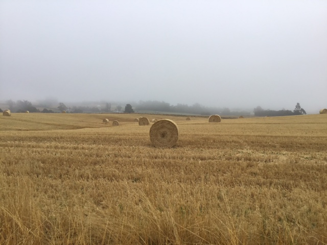 Rural Supplies Blog Item 1 - Hazlett