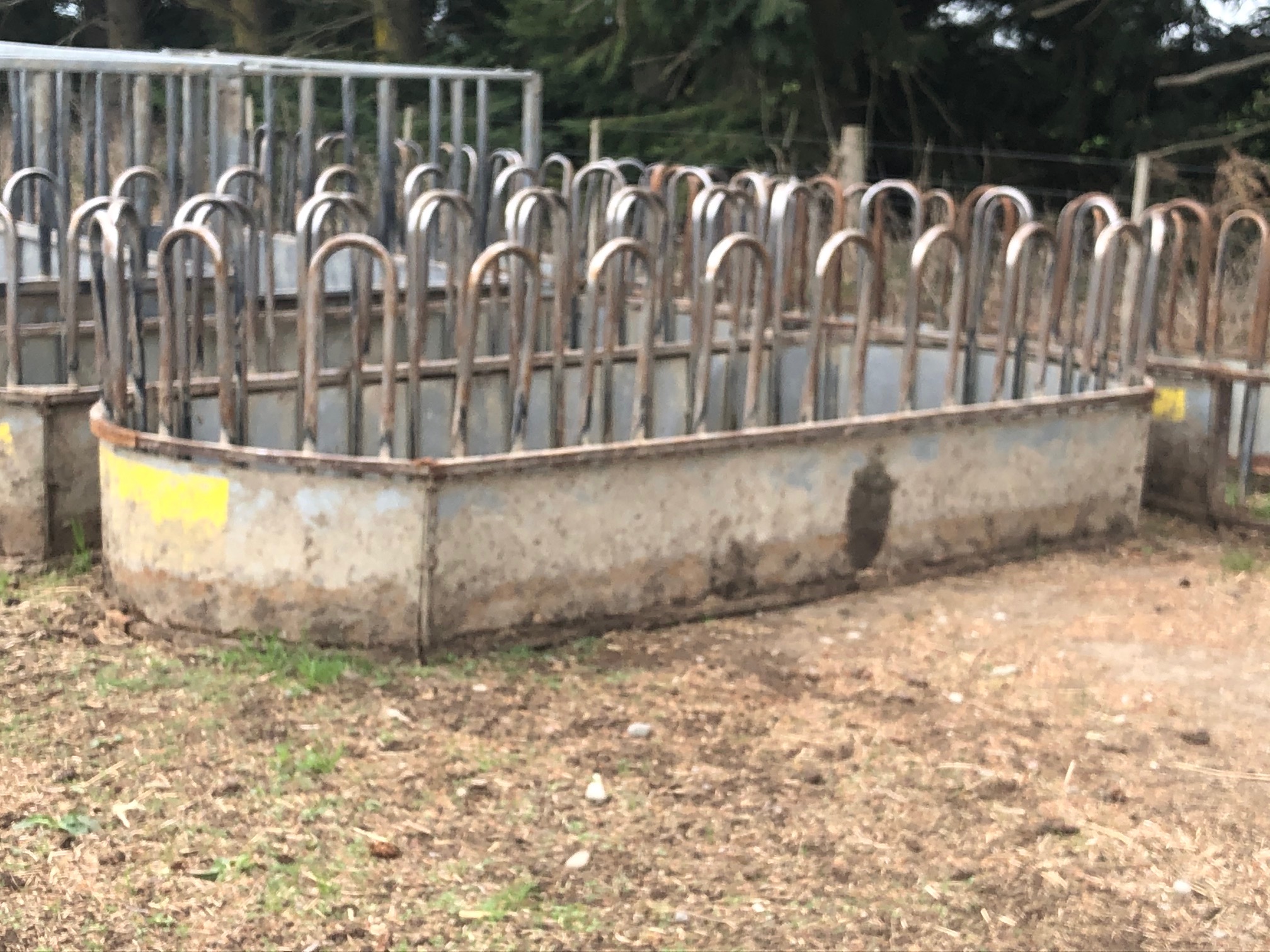 What’s On - Hazlett